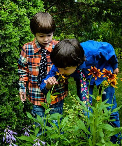 A Making Sense of Smell Lesson Plan - HubPages