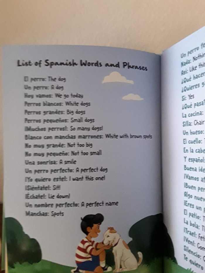 Spanish and English Together in 2 Easy To Read Stories With Jose and ...