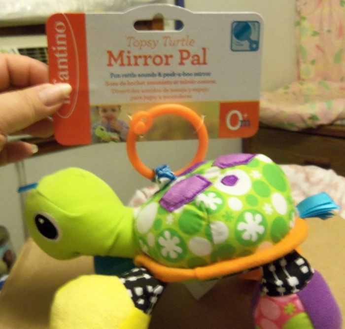 Topsy Turtle Mirror Pal by Infantino - HubPages