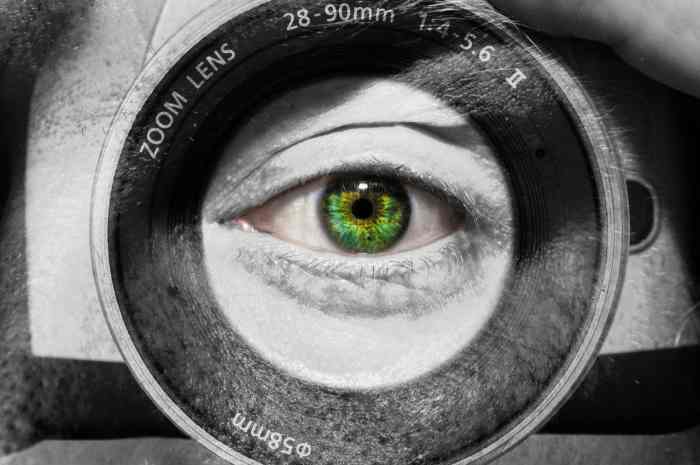 Your Eyes vs. the Camera - Owlcation