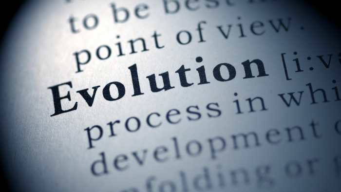 How Christians Can Believe Evolution - HubPages