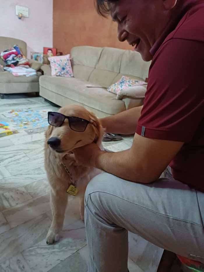 Raising a Pet isn't Easy - HubPages