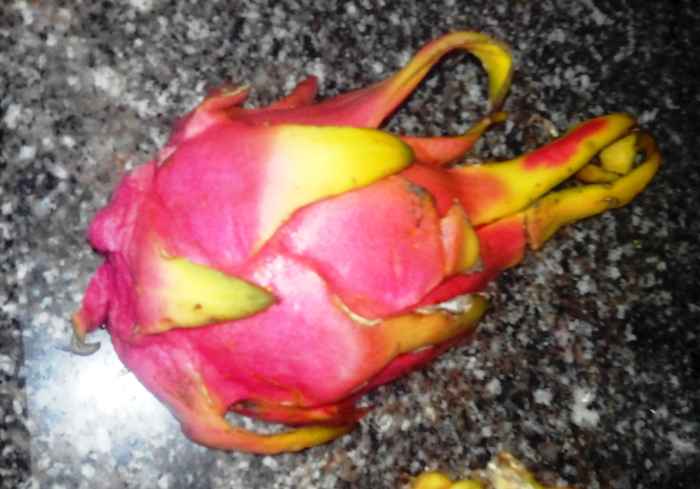 Dragon Fruit Benefits - HubPages