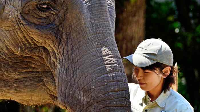 What Is the Job of a Zookeeper? - Owlcation