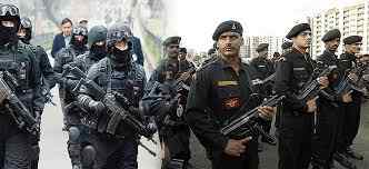 Tuesday story: Our special Cobra Commando force - HubPages