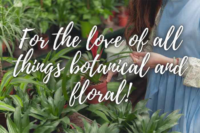 150+ Garden Quotes and Caption Ideas for Instagram - HubPages