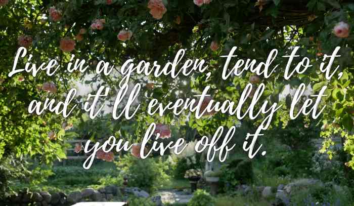 150+ Garden Quotes and Caption Ideas for Instagram - HubPages