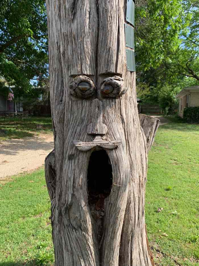 Tree Faces and Forest Faces - HubPages