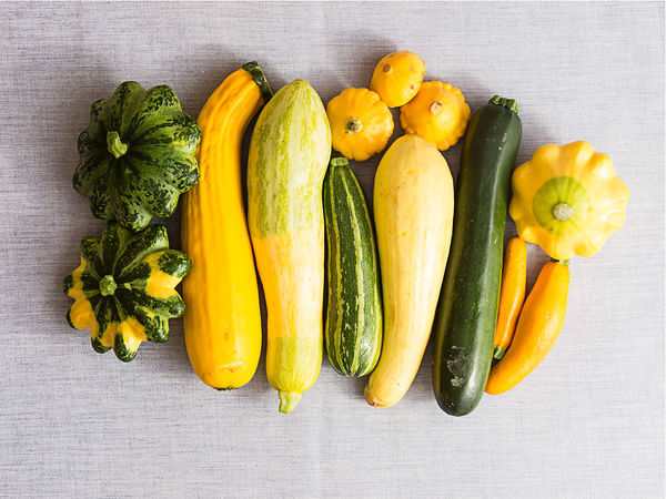 Growing Summer Squash All Summer Long - HubPages