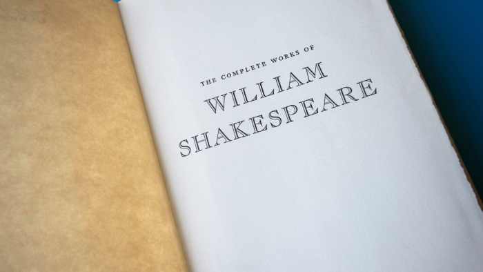 "The Lion King" and Shakespeare's "Hamlet": Similarities and ...