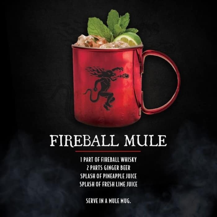 A Brief List of Fireball Drinks for the Perfect Cinnamon Party Drinks ...