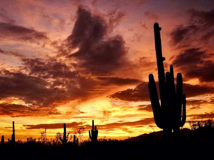 Rewinding Time - LetterPile