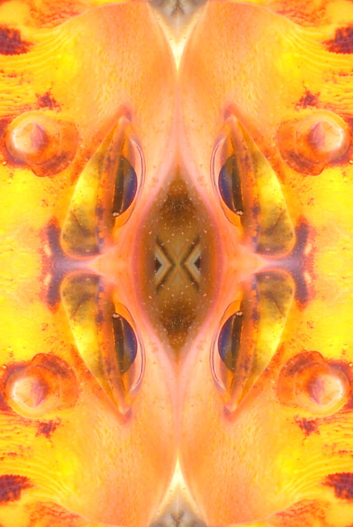 Easy Digital Art Technique: Symmetrical Abstract Patterns - HubPages