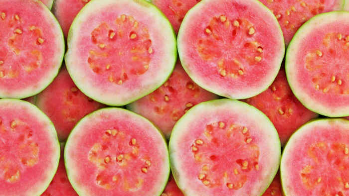 Philippine Legend: The Legend of the Guava - HubPages