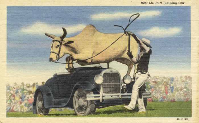 Life of the American Cowboy and Celebrating the National Day of the ...