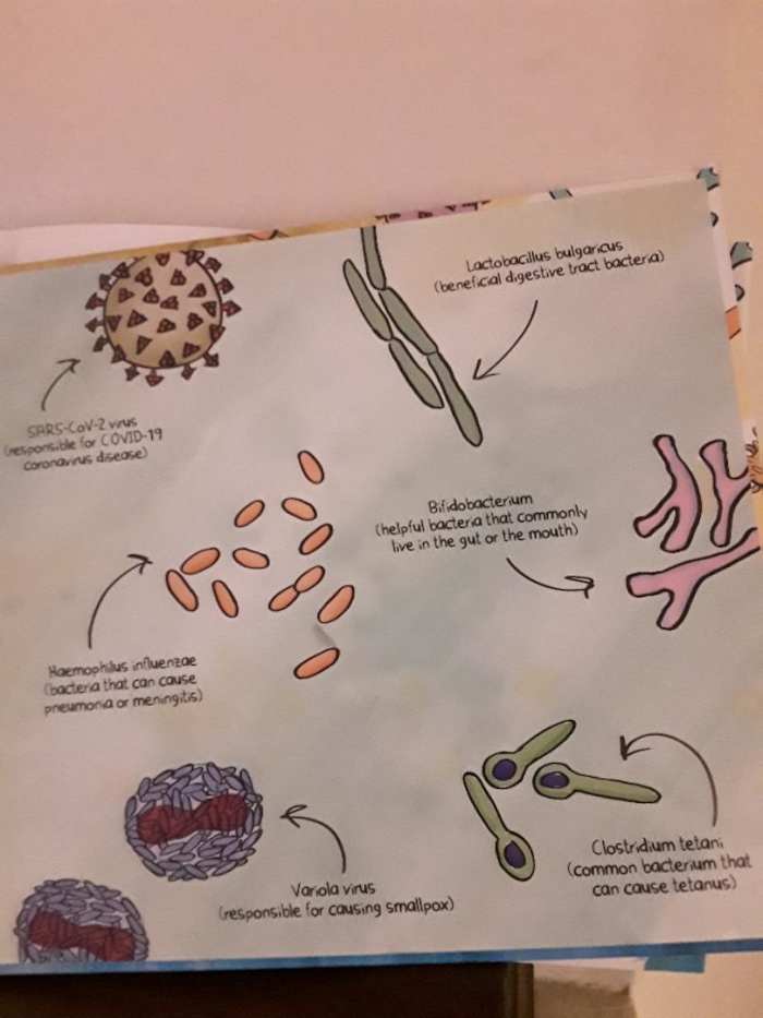 Germs Everywhere but Not All Bad as Featured in Creative Picture Book ...