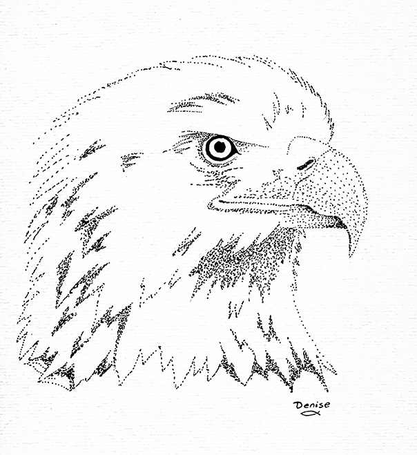 Doing Drawings in Pen and Pencil - HubPages