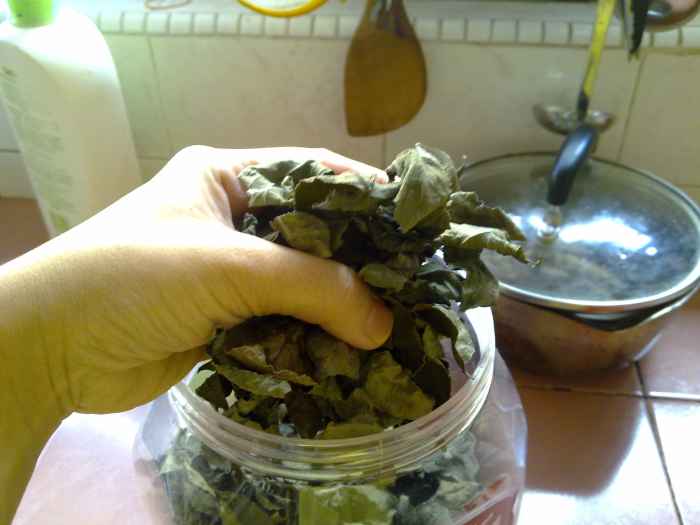 How to Brew Teas : 4 Methods - HubPages