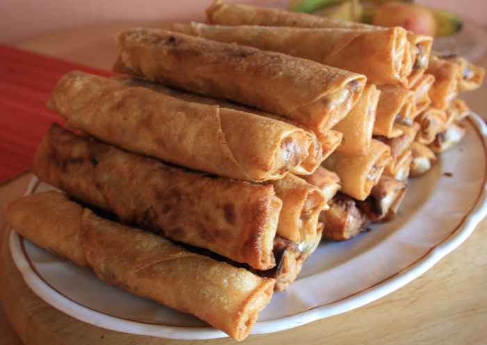 Family Meal Ideas: Pedia´s Crunchy Spring Rolls - HubPages