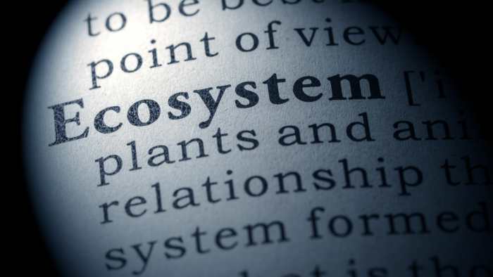 Three Different Types of Ecosystems - HubPages