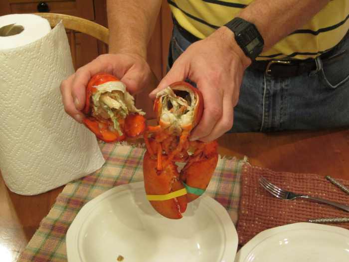 How to Shell a Whole Maine Lobster - HubPages