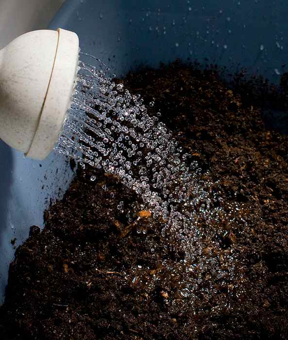 Controlling Pests In Earthworm Beds - HubPages