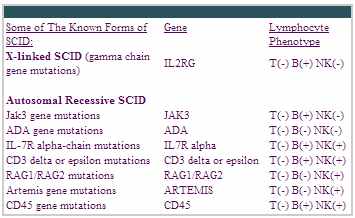 Severe Combined Immunodeficiency (SCID) - HubPages