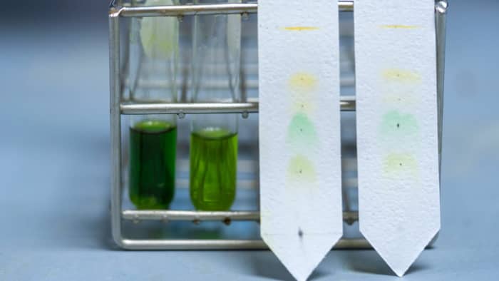 What Is Paper Chromatography: Principle, Types, and Uses - HubPages