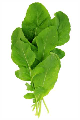 Rocket, roquette, ruchetta, rucola - HubPages