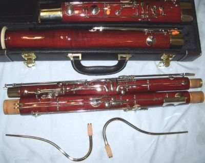 Learning to Play a Musical Instrument-the Bassoon the Clown of the ...