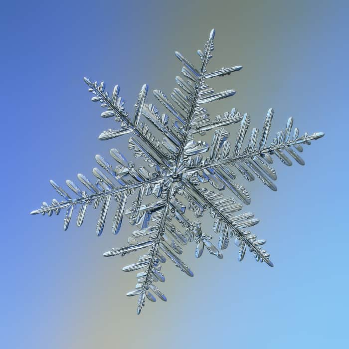 Fractal Patterns and the Beauty of Nature - Owlcation