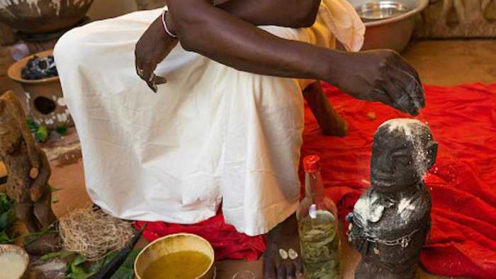 Man Transforms into Serpent: Unveiling a Mysterious Tale from Africa ...