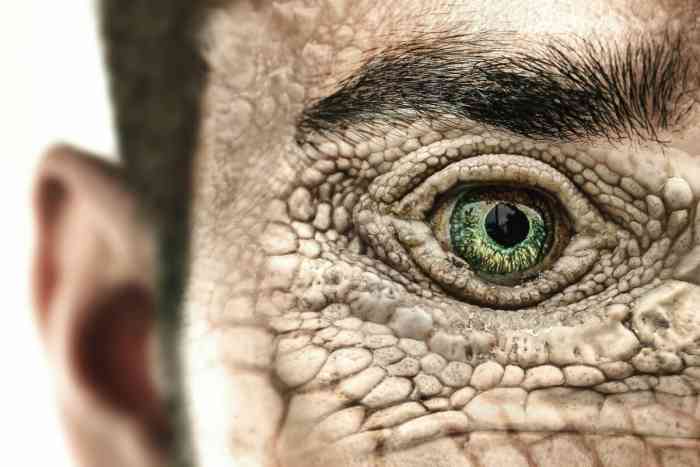 Man Transforms into Serpent: Unveiling a Mysterious Tale from Africa ...