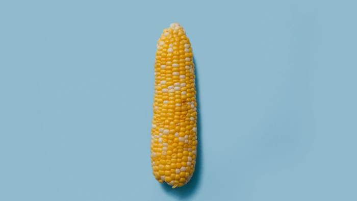 Why Does Corn Come Out Whole in My Poop? - HubPages