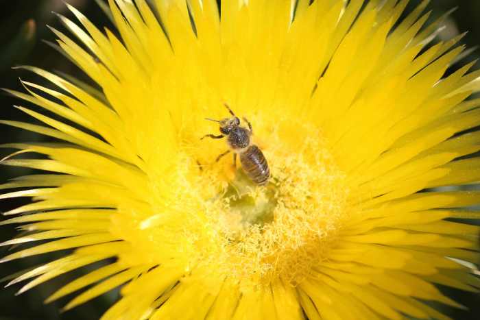 How To Prepare For Spring Time Allergies - HubPages