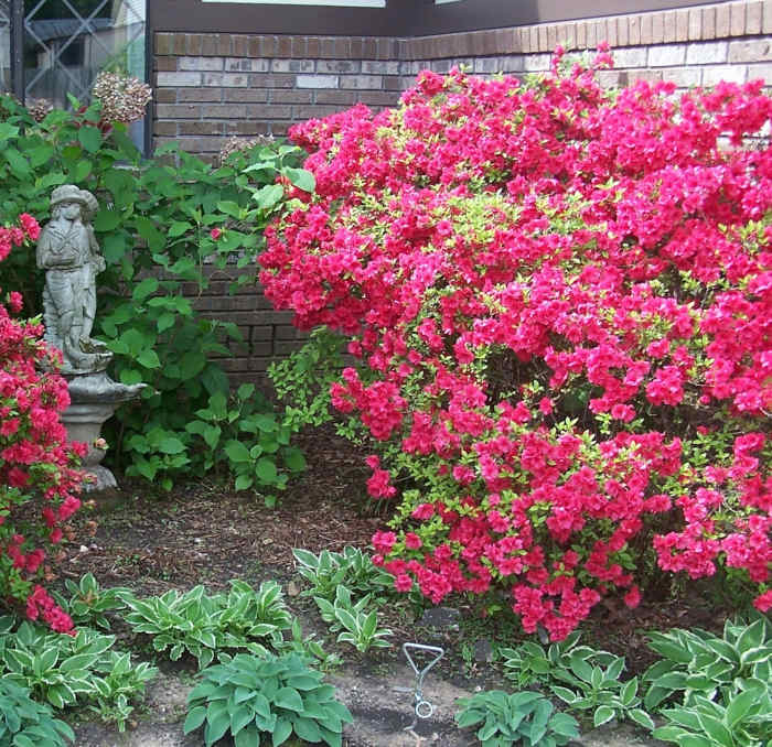 The New USDA Hardiness Zone Map Is Out - HubPages