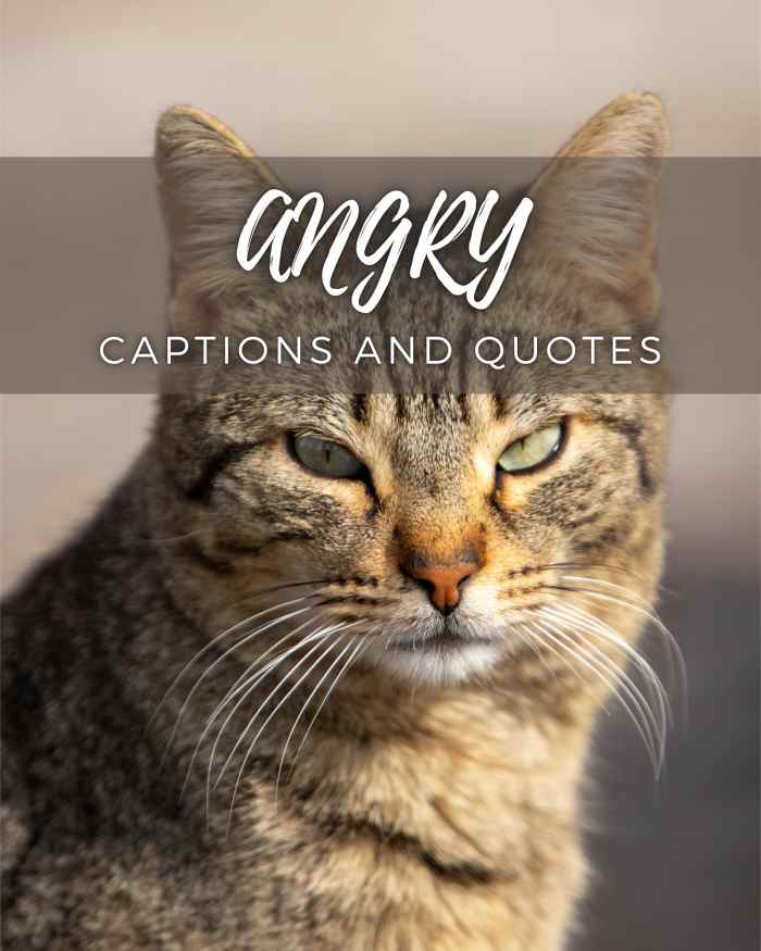 250+ Angry Quotes and Caption Ideas for Instagram - HubPages