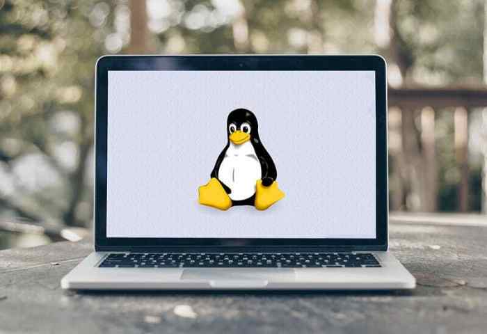 Debunking 5 Open-Source Software Myths - TurboFuture