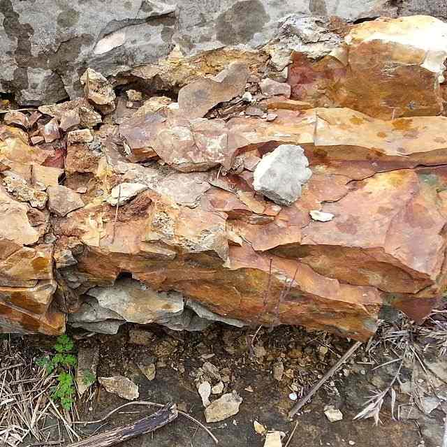 "Preserving Geological Wonders: The Rocks, Minerals, and Conservation ...