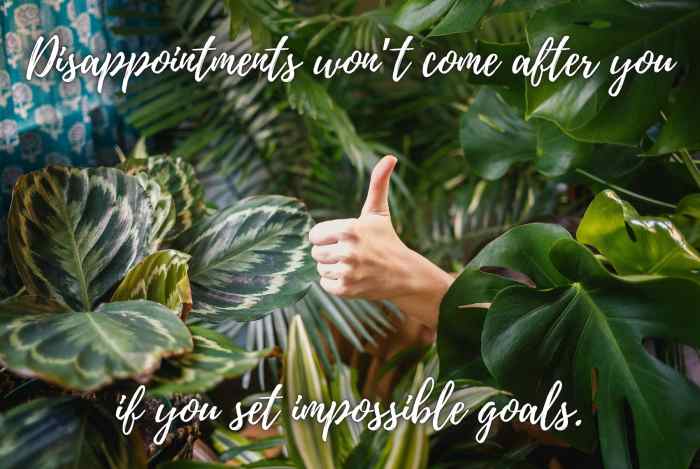 500+ Funny Caption Ideas for Instagram - HubPages