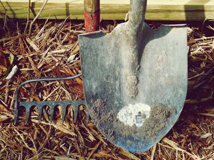How to Effectively Clean Garden Tools Fast - HubPages