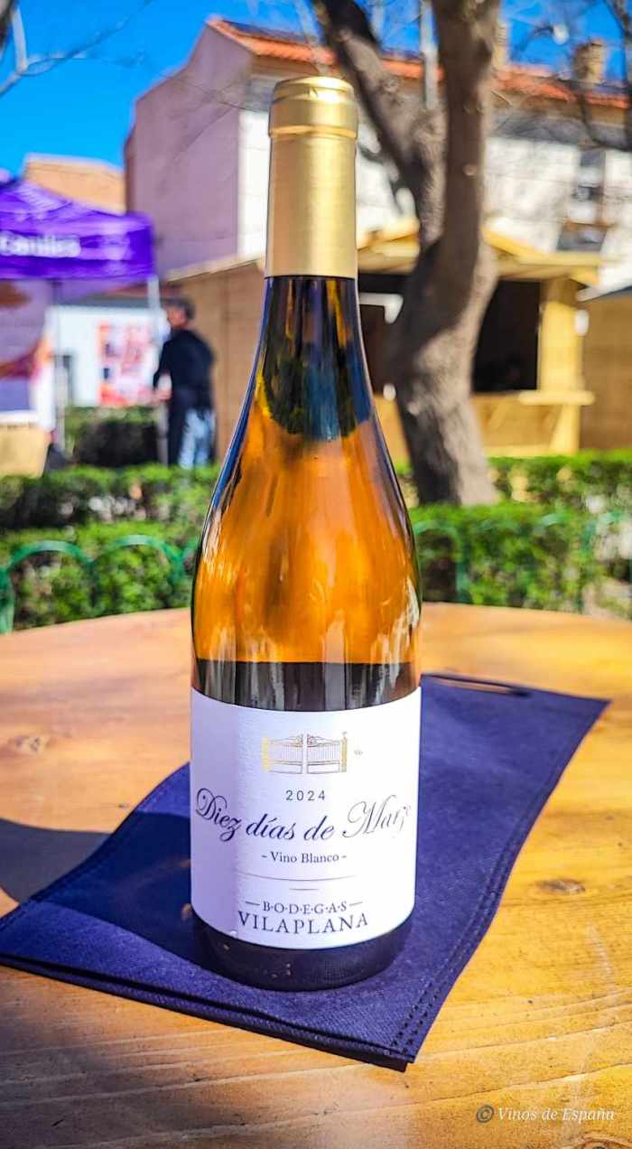 Exploring Caniles' First Ever Wine Festival - HubPages