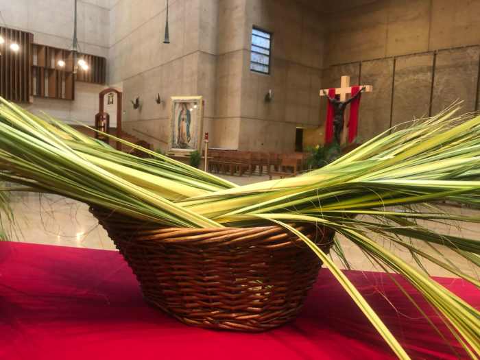 50 Best Songs About Palm Sunday - HubPages