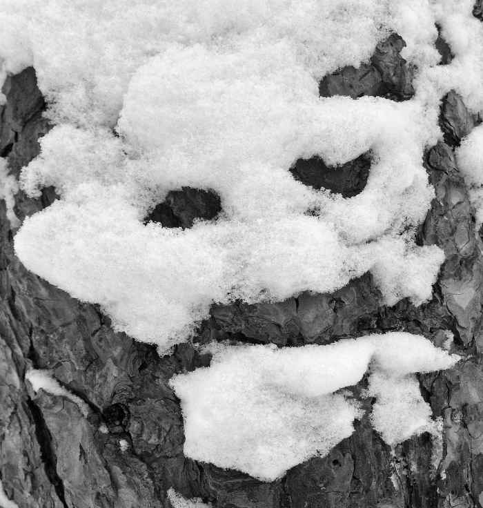 Tree Spirits - HubPages