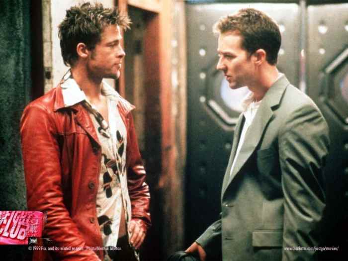 The Fight Club of the Self: Transgressive Fiction and the Lonely ...
