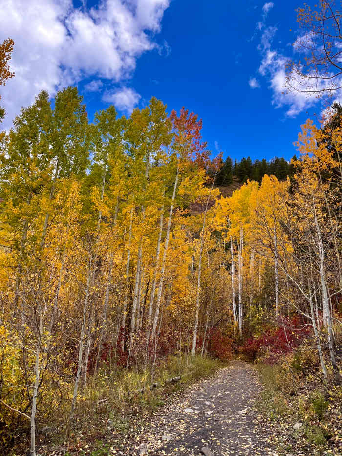 4 Easy Walks and Hikes Near Aspen, Colorado: Spring, Summer, and ...