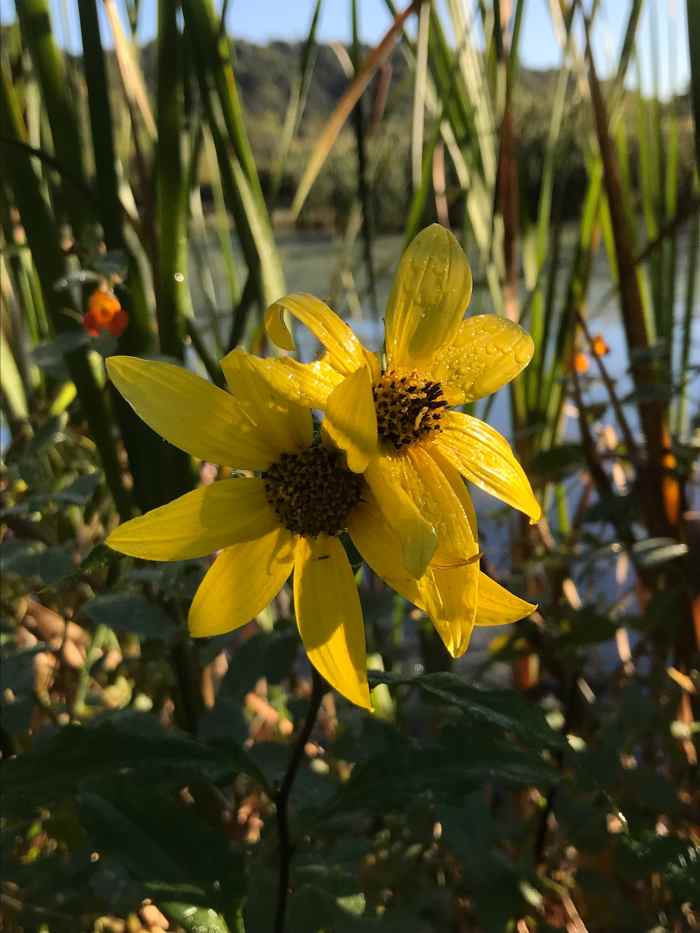 Three Keys to the Christian Life - HubPages