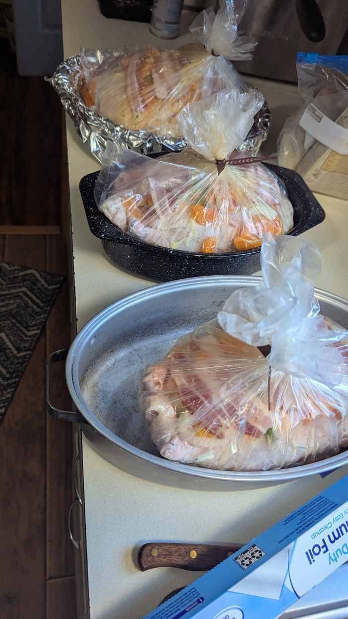 Duck - Bag Roasted with Bacon and Oranges - HubPages