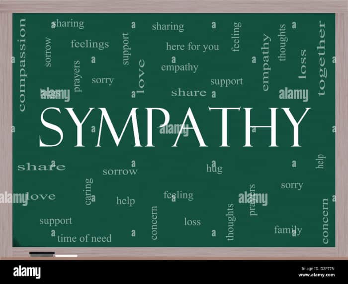 Sympathy and Empathy - HubPages