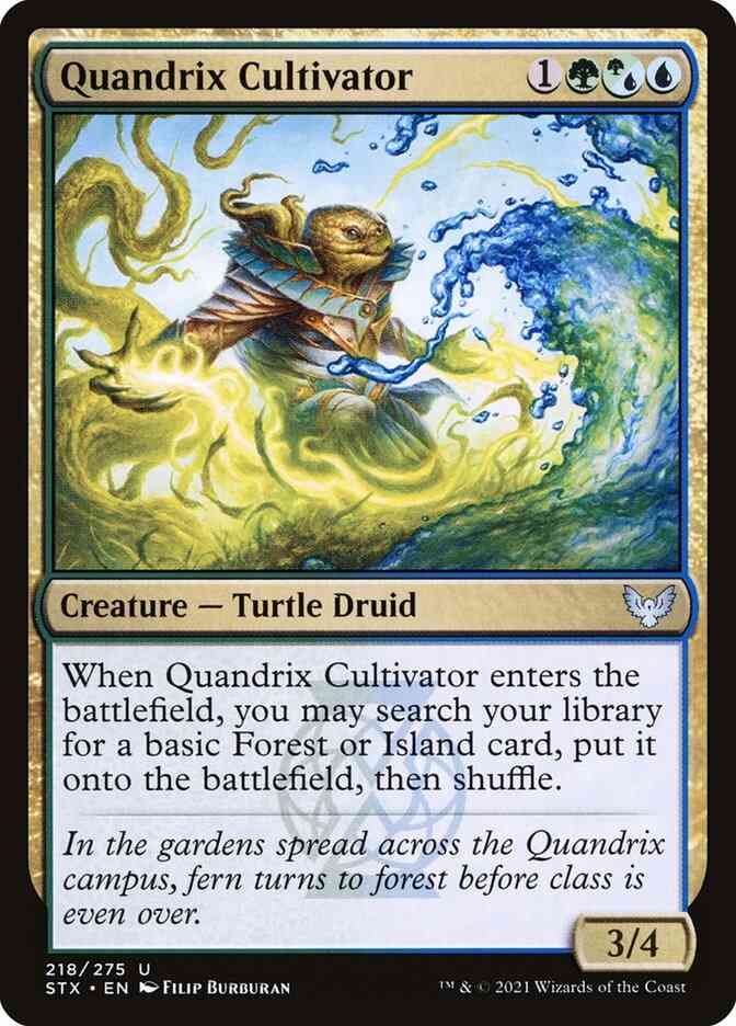 Top 10 Turtles in Magic: The Gathering - HubPages